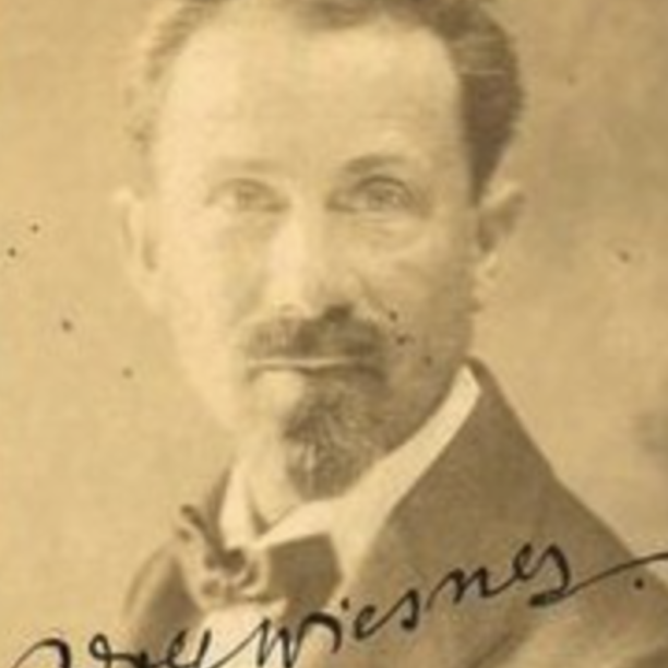 Adolf Wiesner | Aukce aukcí - aukce obrazů a starožitností