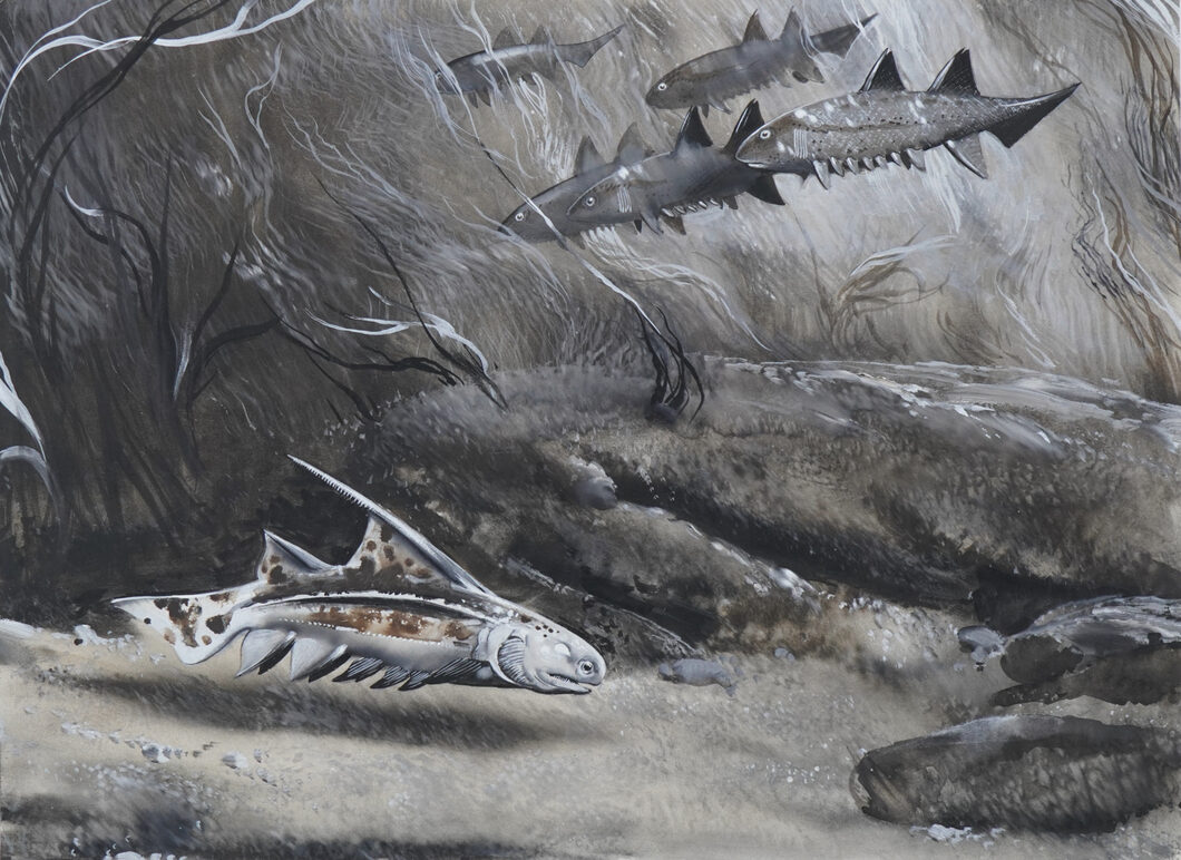 Parexus a Climatus | Aukce aukcí - aukce obrazů a starožitností